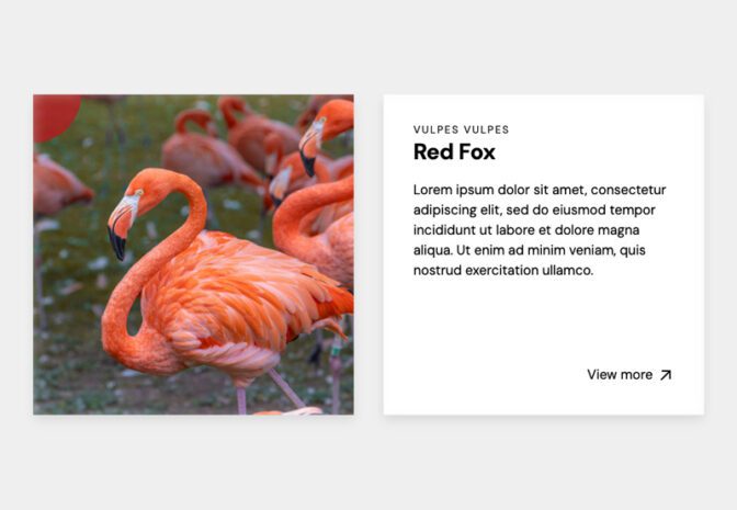Create a Sliding Cards UI With HTML & CSS - Sirrona | Web Design